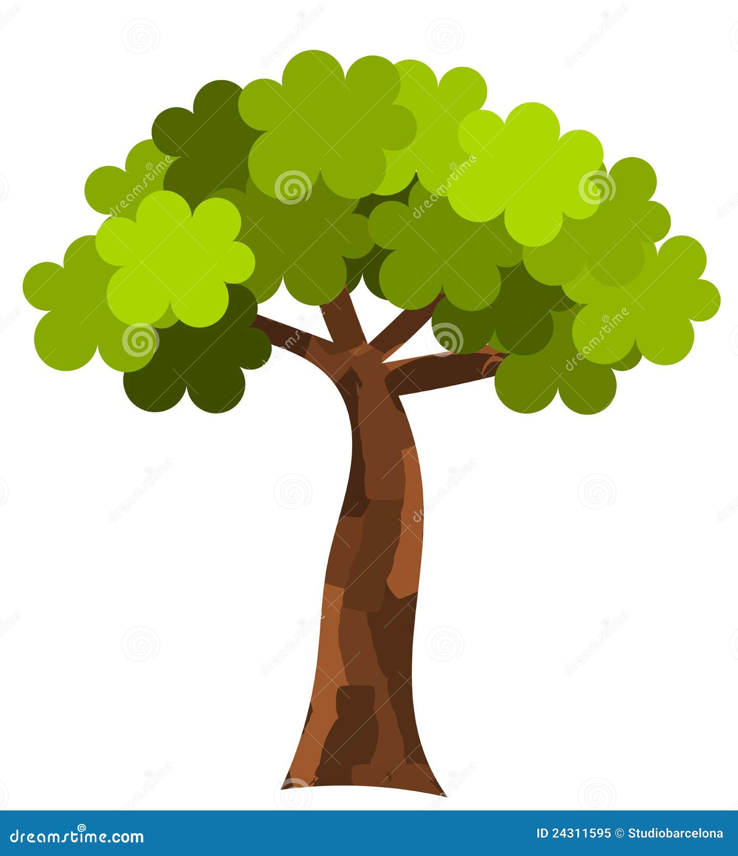 Plane Tree Drawing, Platanus Acerifolia Royalty-Free Stock Photo ...