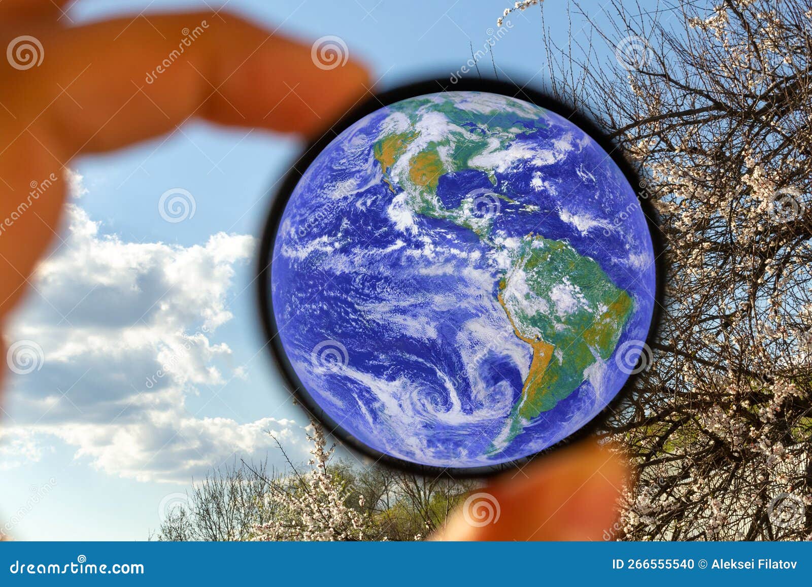 Planet Earth in Hand, Save Earth. Environment Concept, Ecosystem and ...
