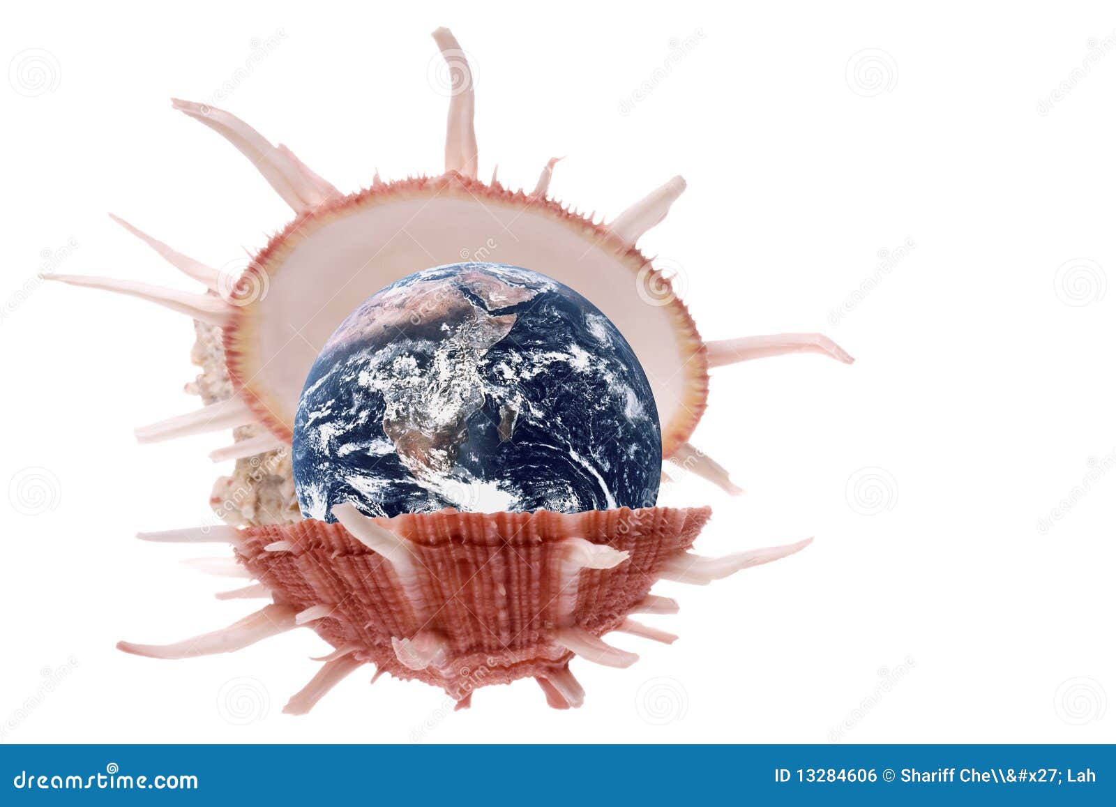 Planet Earth Sea Shell Macro Isolated Stock Photo - Image of world ...