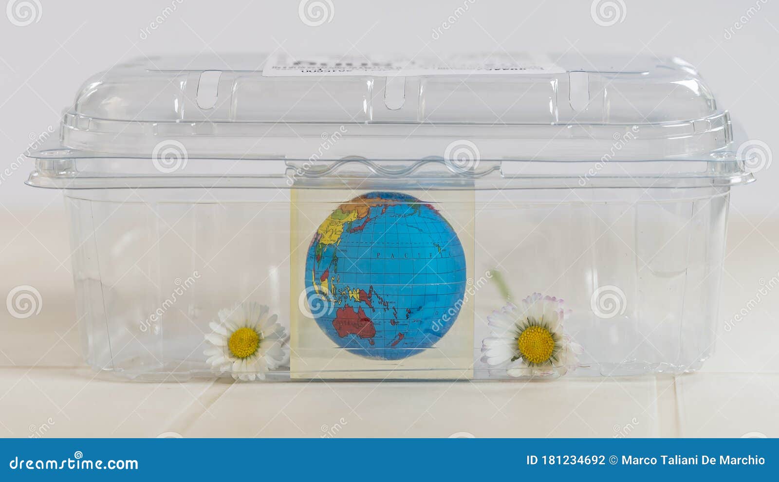 A Planet Earth and Two Daisies Enclosed in a Plastic Container ...