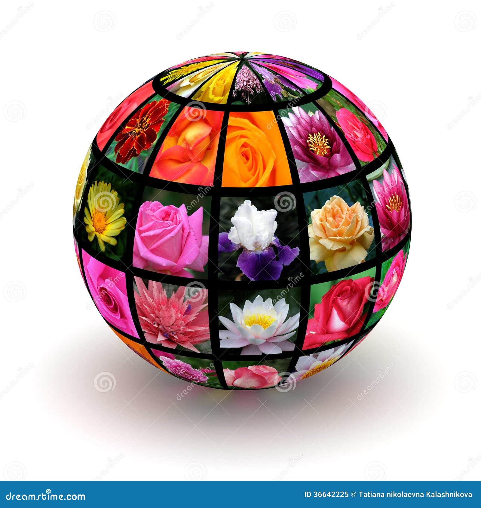 Planet flowers stock image. Image of biology, flowers - 36642225