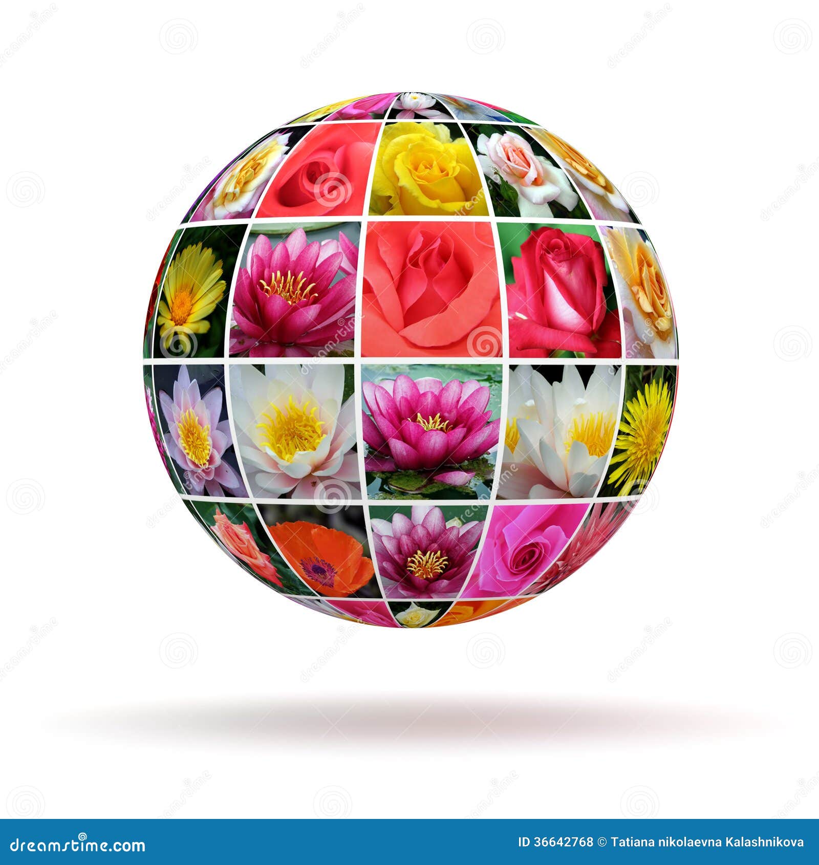 Planet flowers stock photo. Image of rose, flora, biology - 36642768