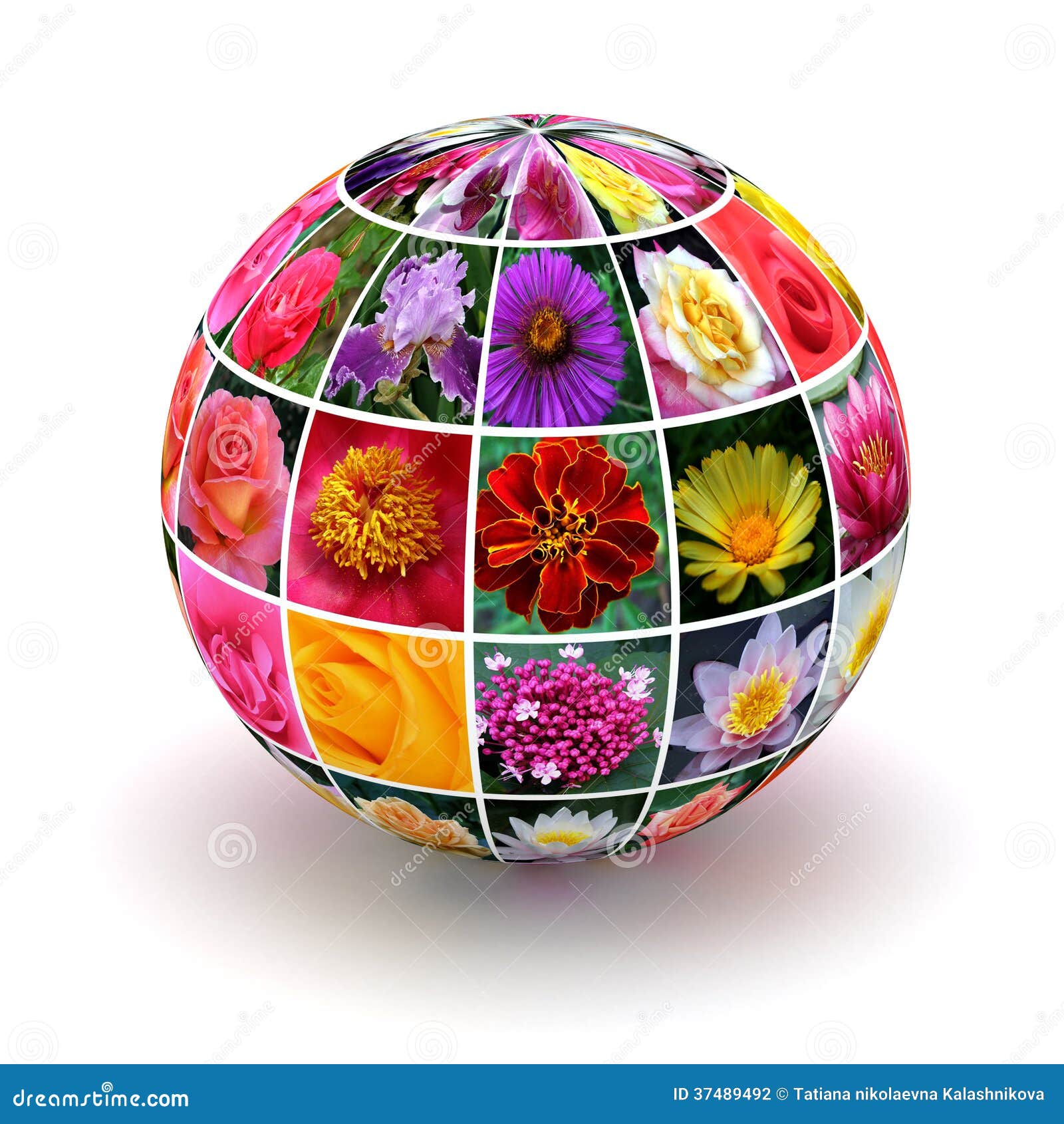 Planet flowers stock photo. Image of symbol, beautiful - 37489492