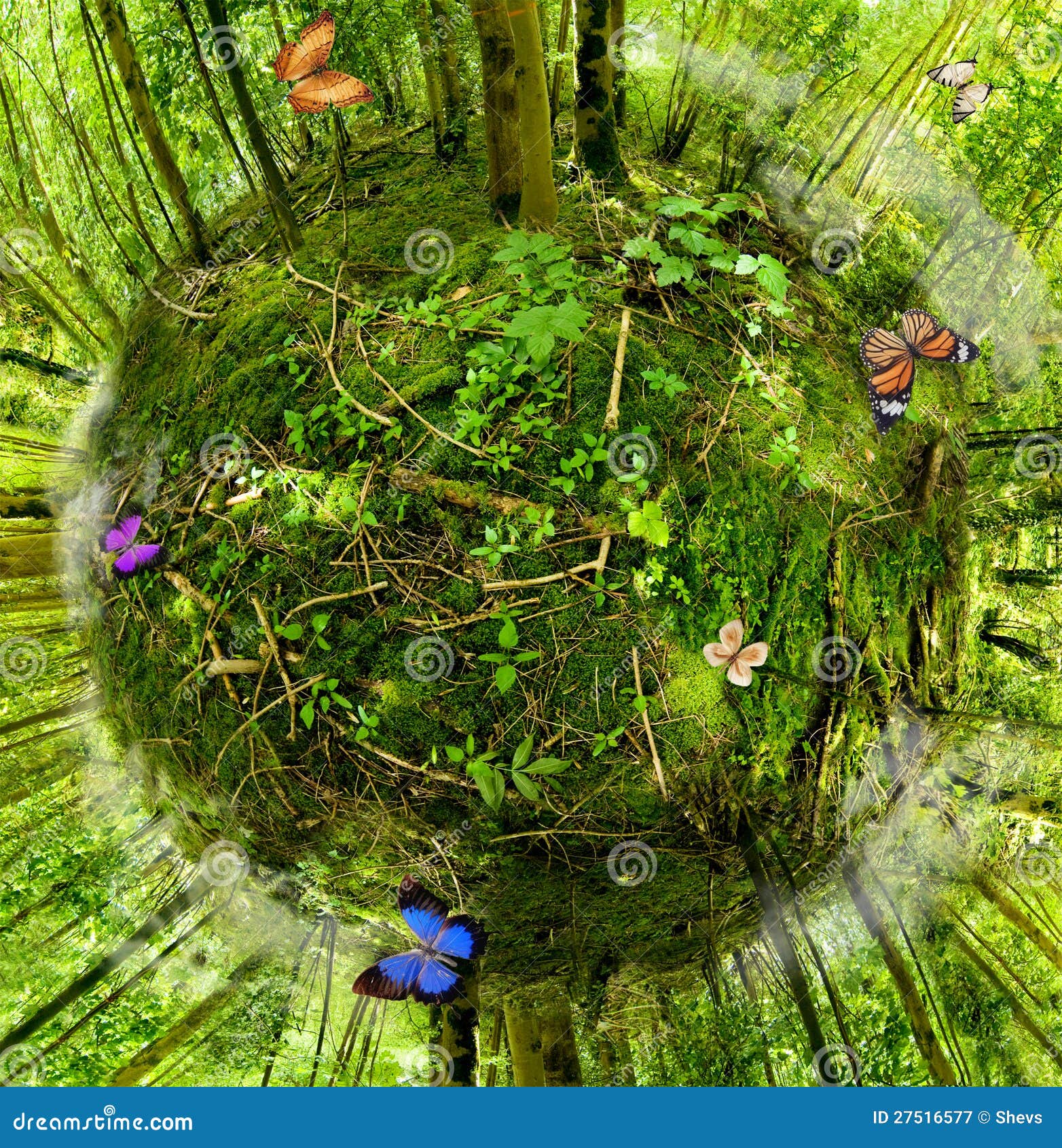 Planeta verde imagen de archivo. Imagen de oasis, reserva - 27516577