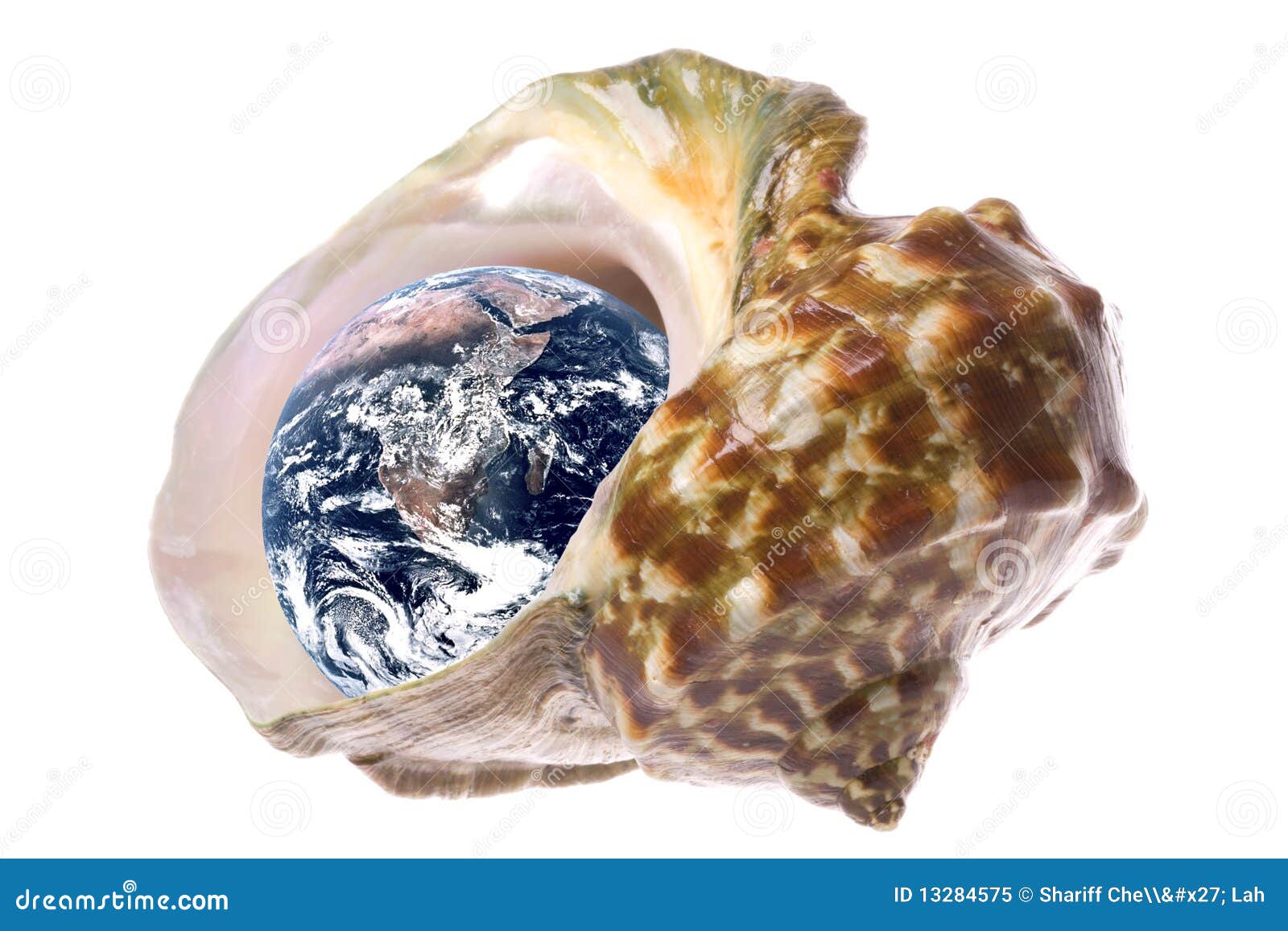 Planeten-Erde-Seeshell-Makro Getrennt Stockbild - Bild von makro, ozean ...