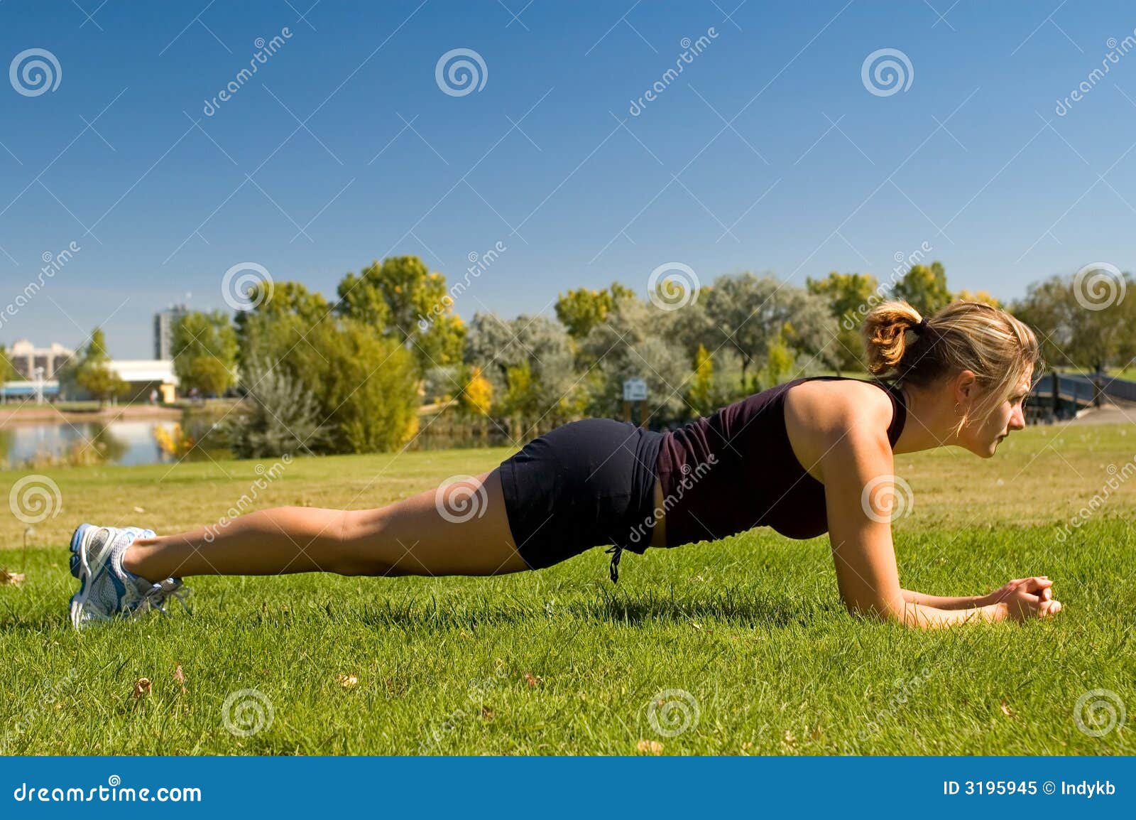 Plank stock image. Image of tight, tanned, hottie, healthy - 3195945