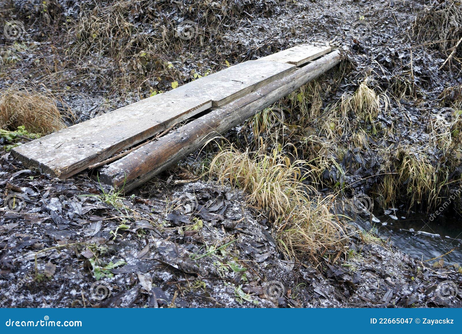 Plank Across Melioration Stream during Winter Stock Image - Image of ...