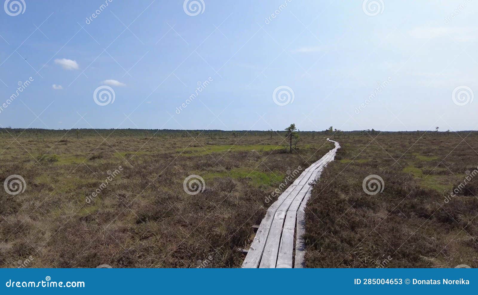 Plank Path Along the Swamp Day Time Plain Field Stock Video - Video of ...