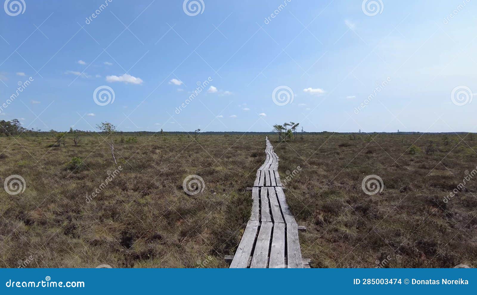 Plank Path Along the Swamp Day Time Plain Field Stock Footage - Video ...