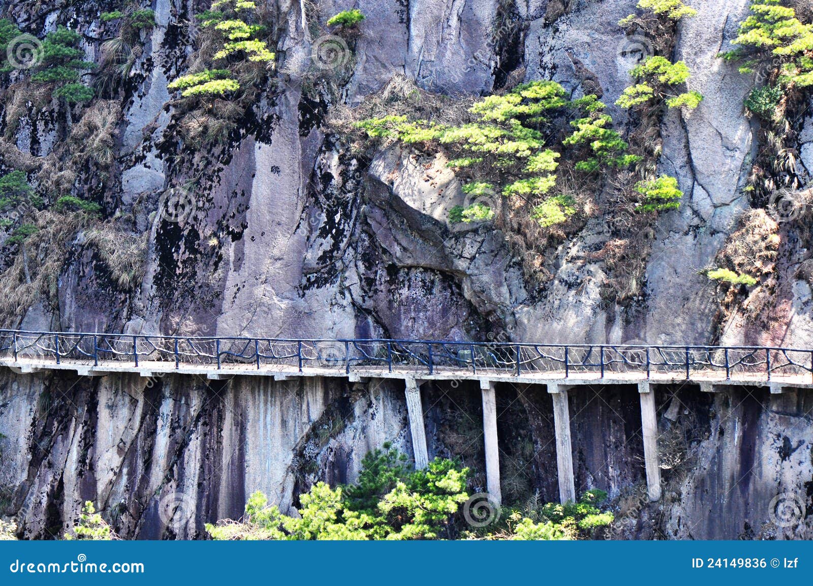 Plank Road Built Along the Face of Cliff Stock Photo - Image of ...