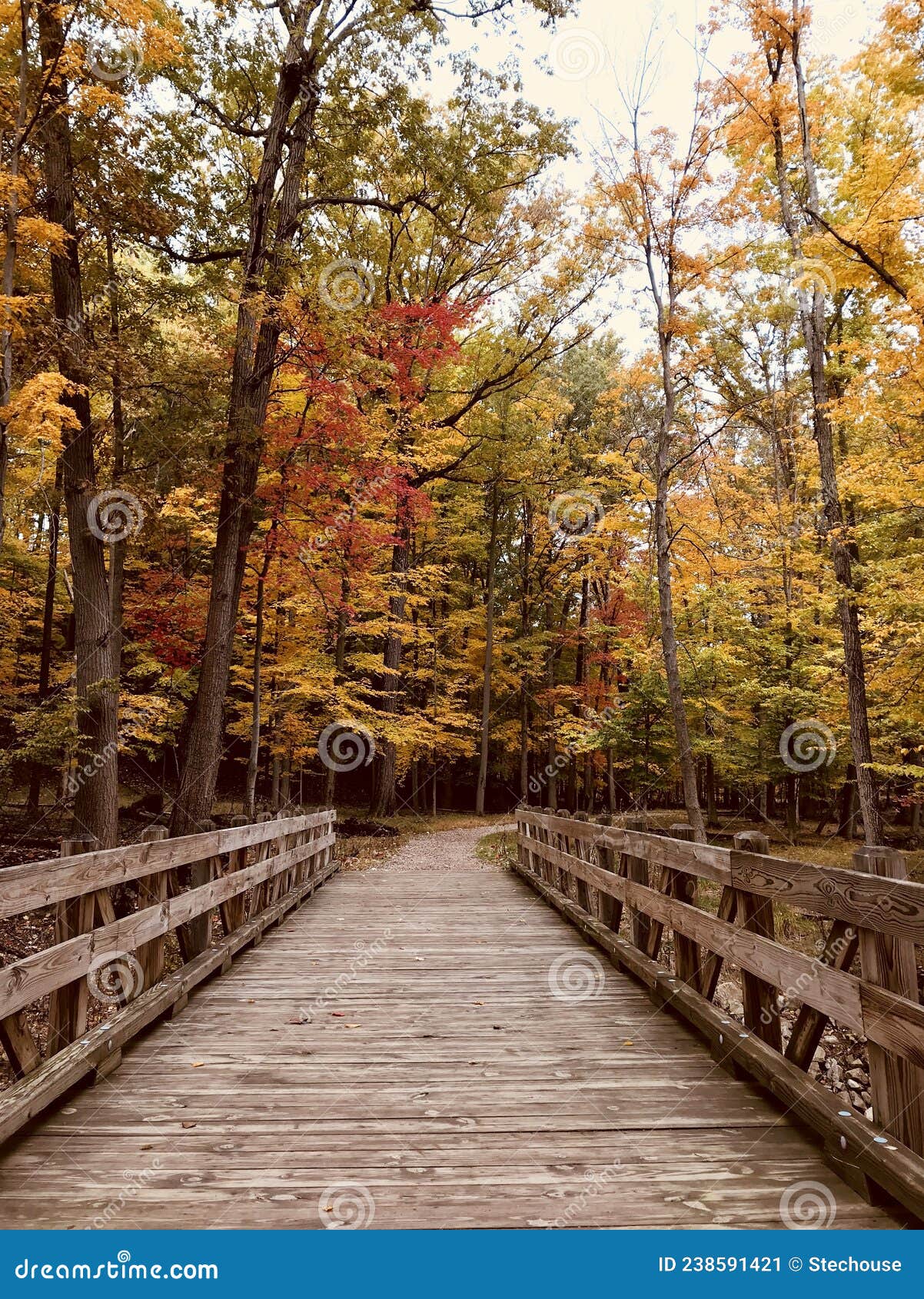 Wooden Planks Form the Foundation of a Solid Bridge - BRIDGE the GAP ...