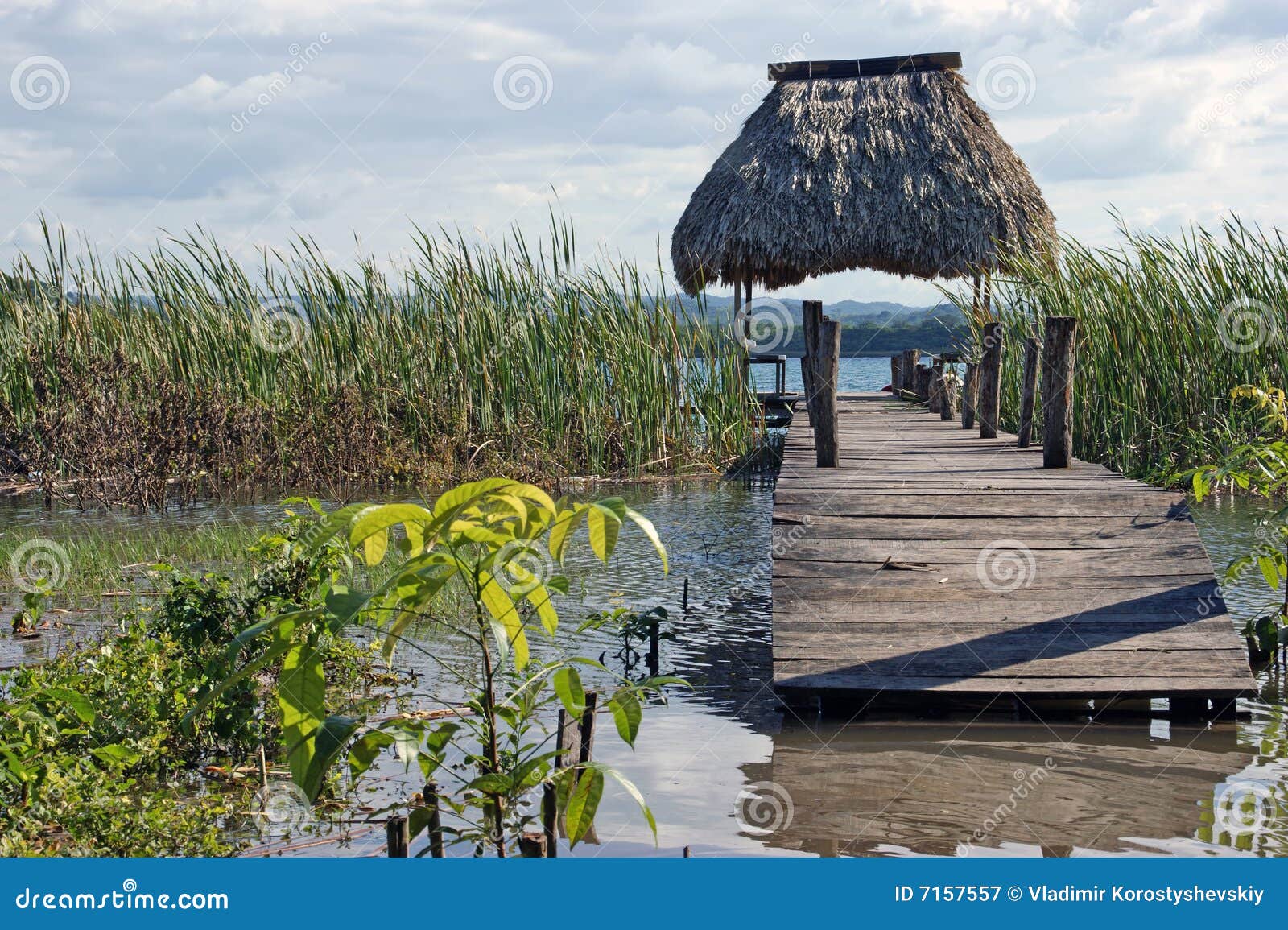Planked footway stock image. Image of attraction, tourist - 7157557