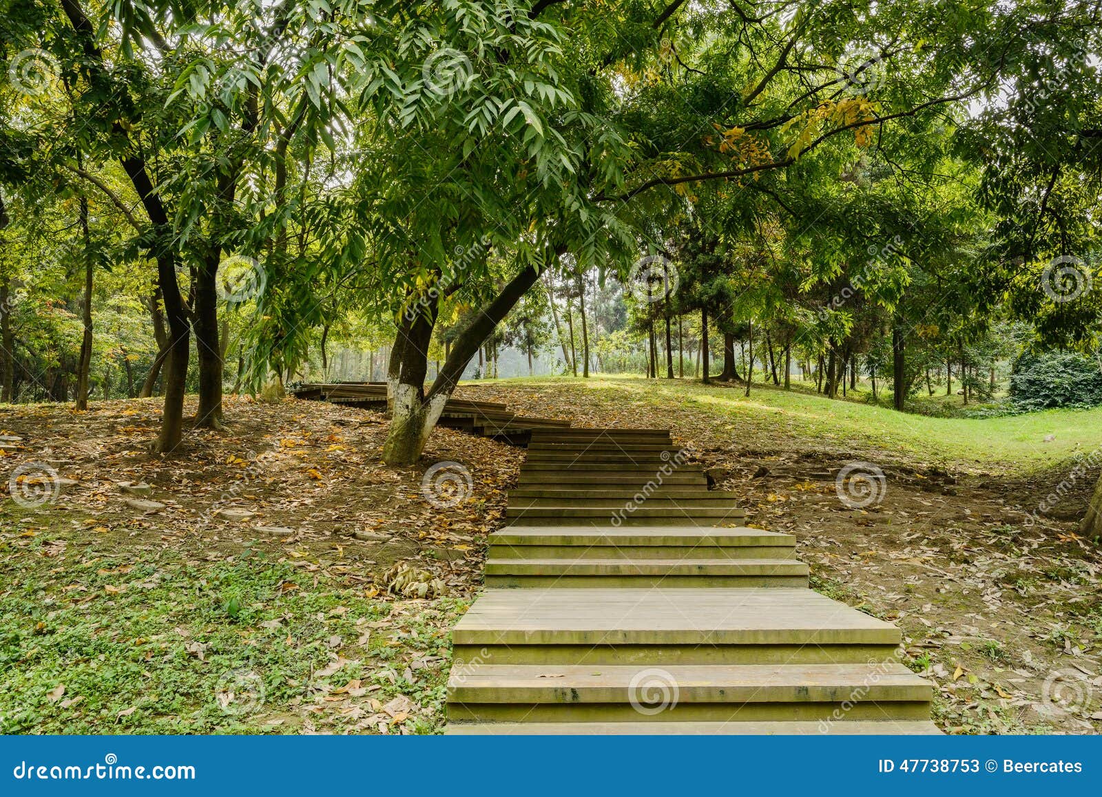 Planked Steps Along Slope in Verdant Plants Stock Image - Image of ...