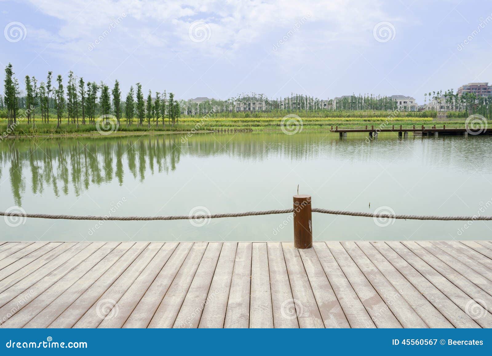 Planked Viewing Platform in Lake on Sunny Summer Day Stock Image ...