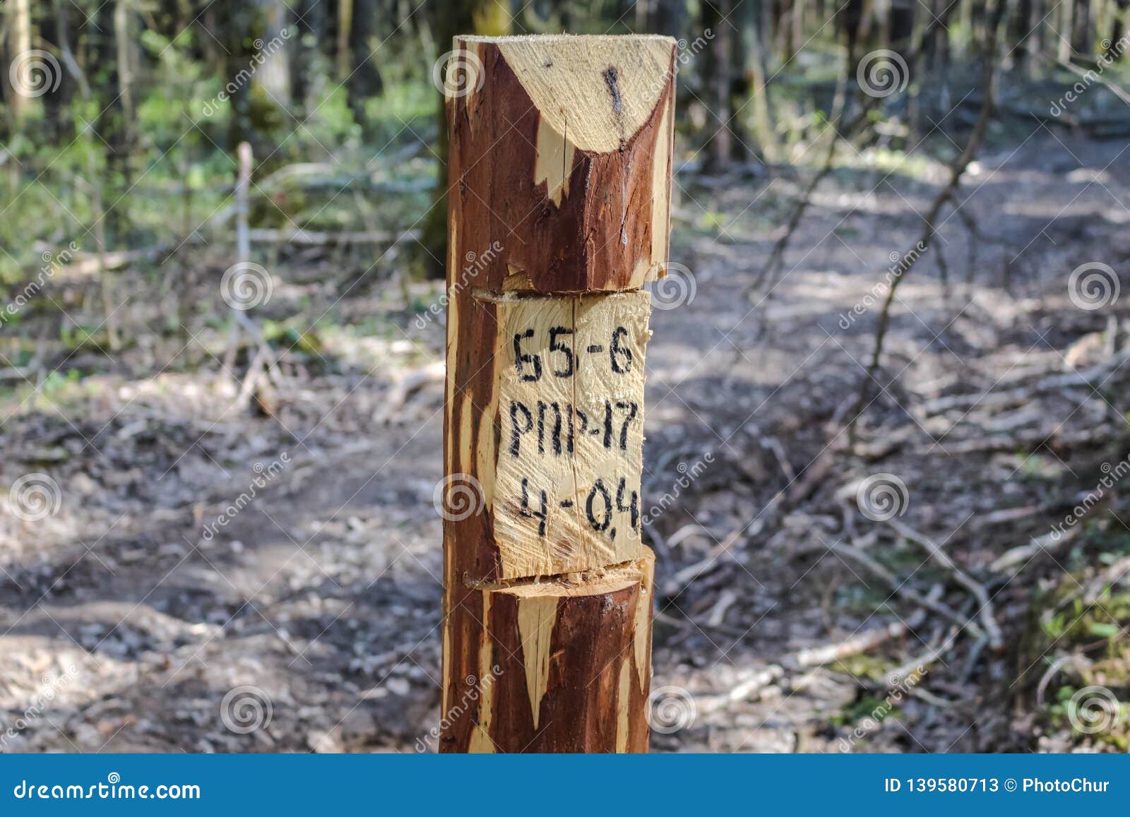 Planking Post in the Forestry Stock Image - Image of wood, post: 139580713