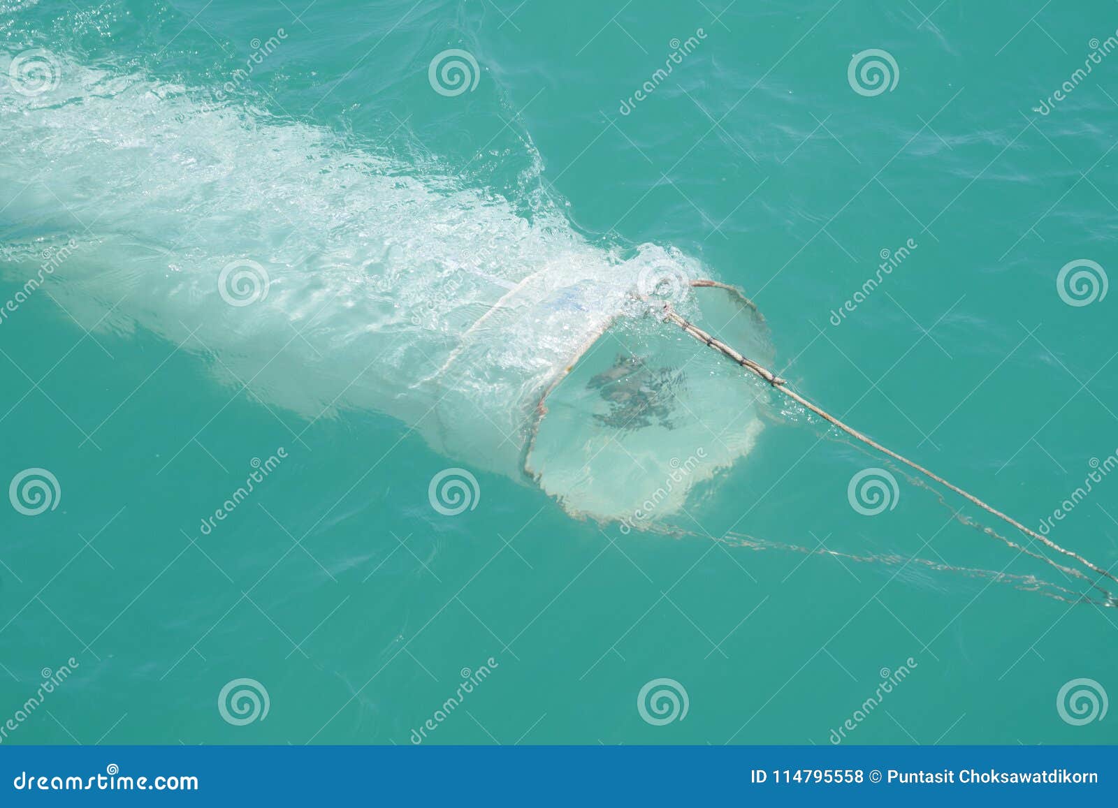 Plankton Sampling Collect for Plankton in Water Stock Photo - Image of ...