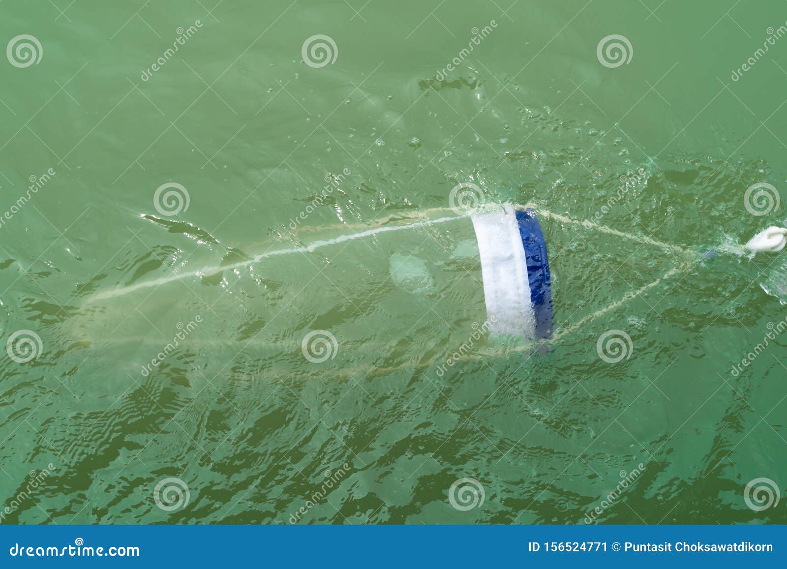 Plankton Sampling Collect for Plankton in Water Stock Image - Image of ...