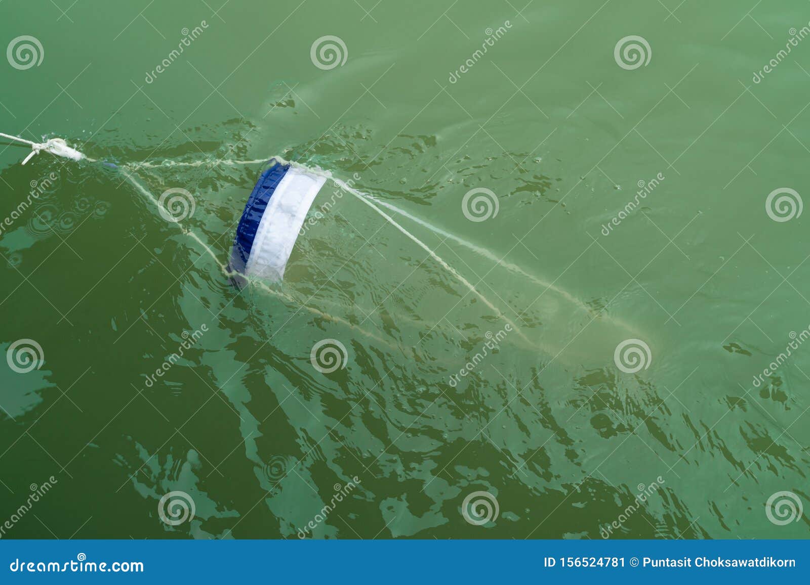 Plankton Net Sampling Phytoplankton Royalty-Free Stock Image ...