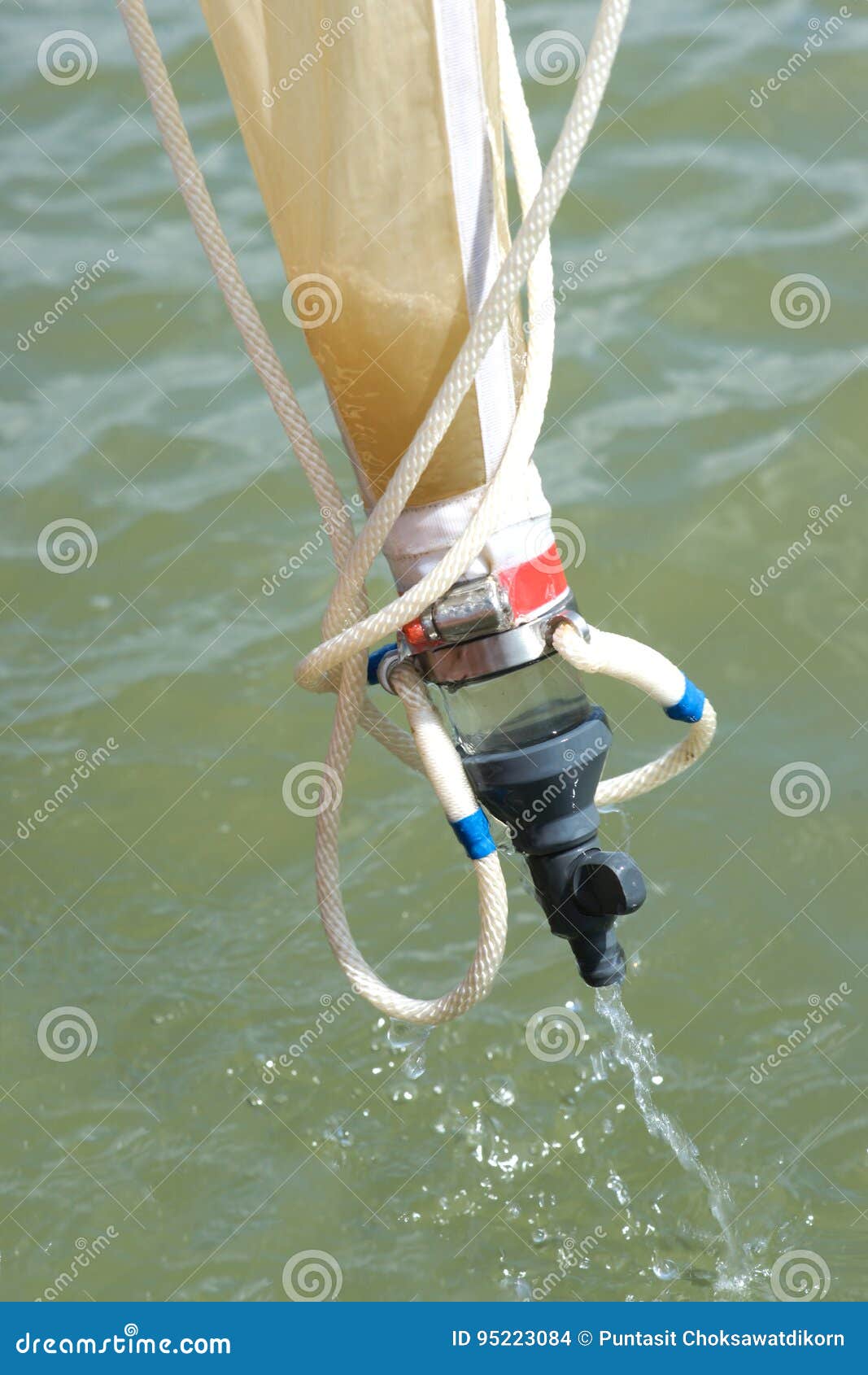 Plankton Net Sampling Phytoplankton Stock Photo | CartoonDealer.com ...