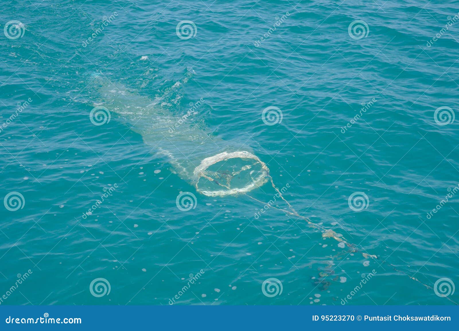 Plankton sampling collect stock photo. Image of microscope - 95223270