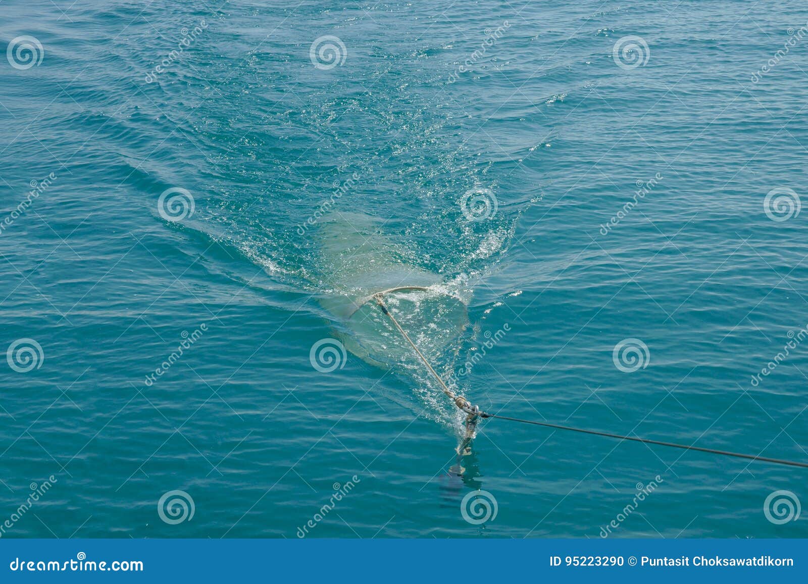 Plankton sampling collect stock photo. Image of green - 95223290