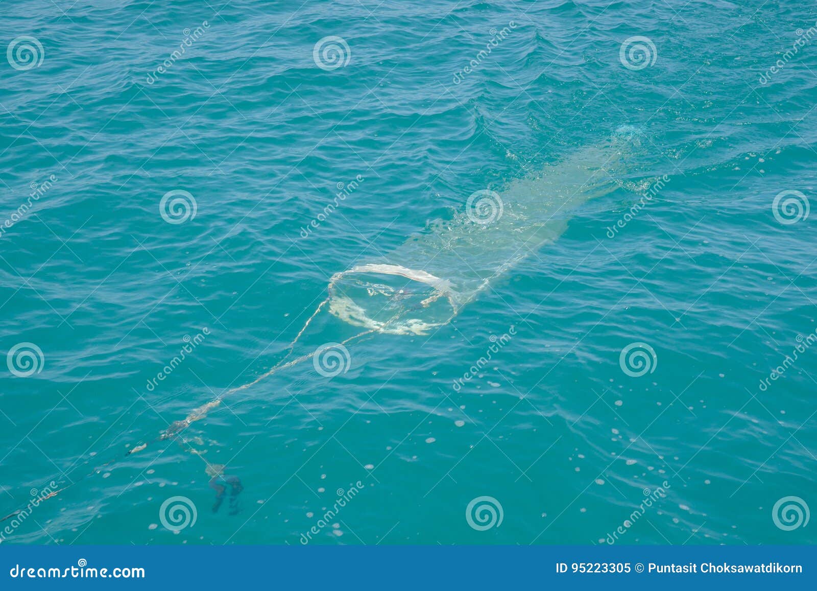 Plankton sampling collect stock image. Image of bright - 95223305