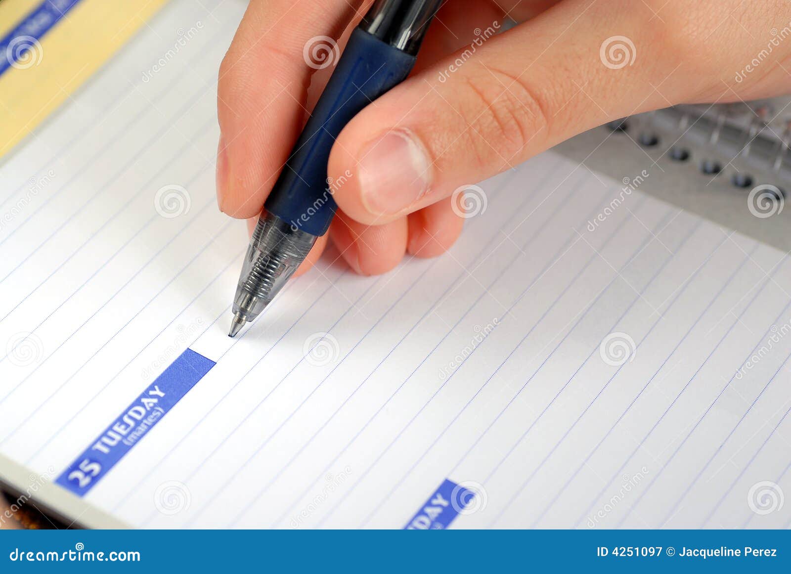 Daily Planner Picture. Image: 4251097