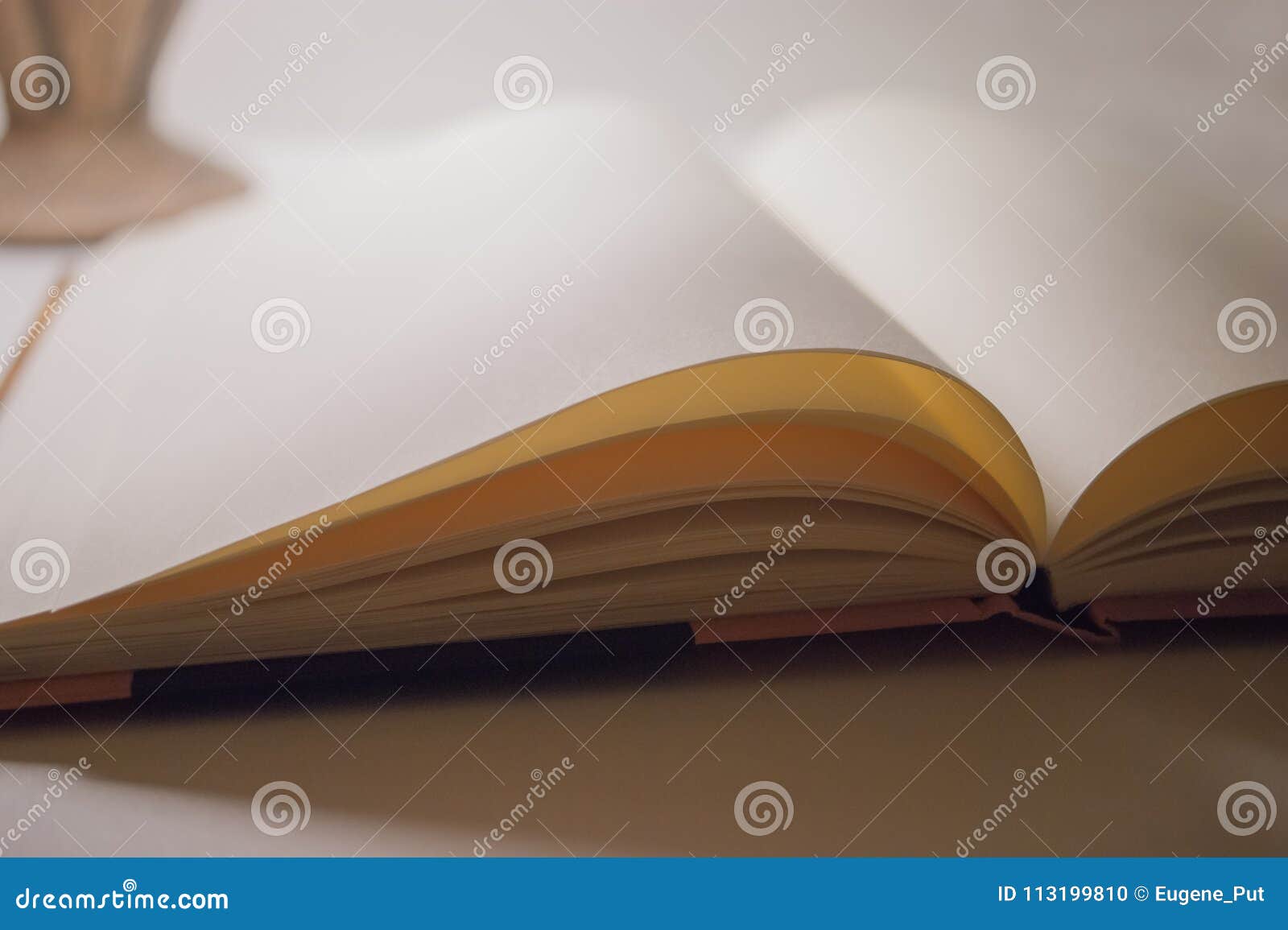 Planning Future Concept. Notebook with Blank Pages Under a Lamp. Stock ...