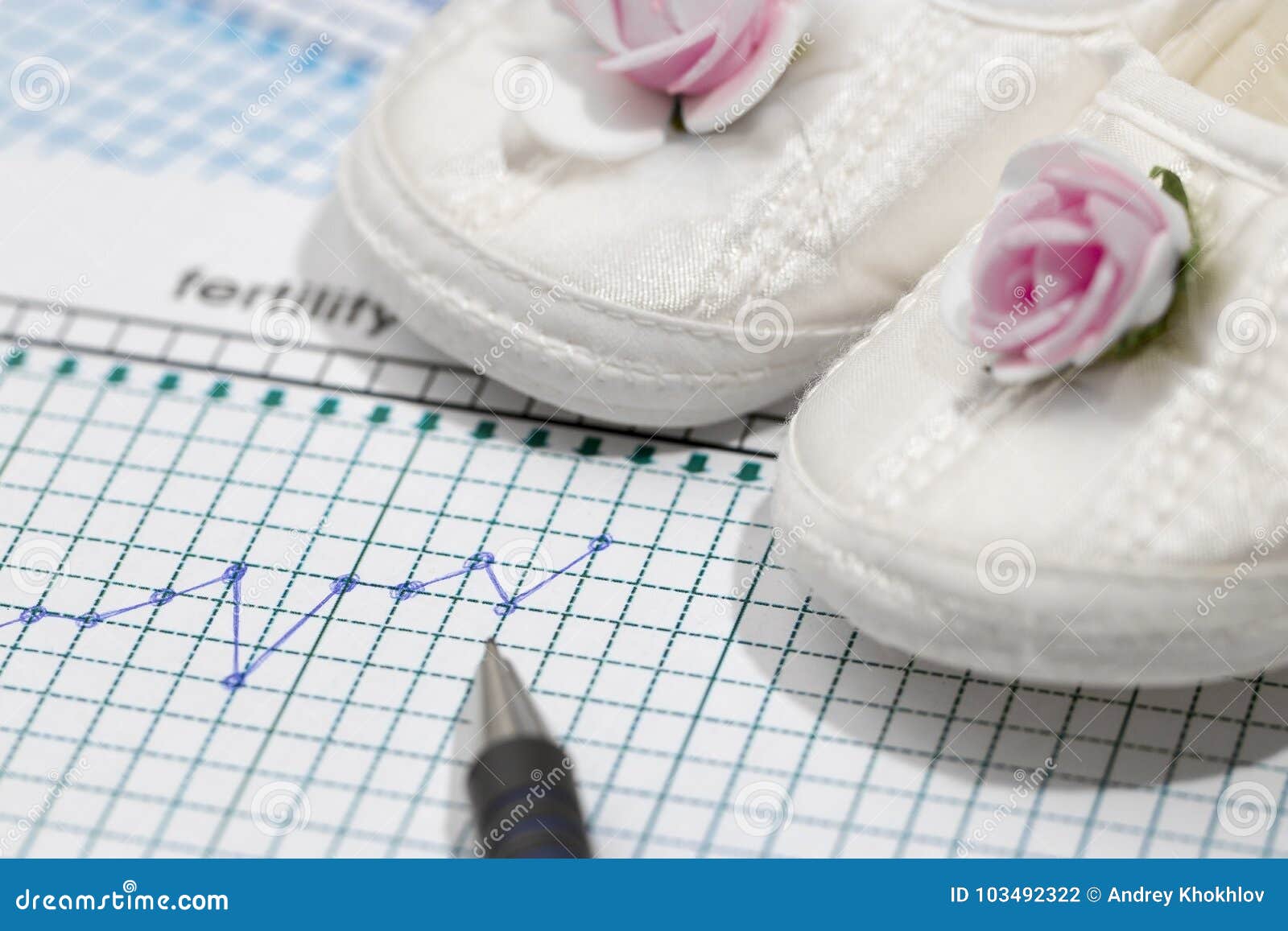 Planning of Pregnancy. the Fertility Chart Stock Photo - Image of ...