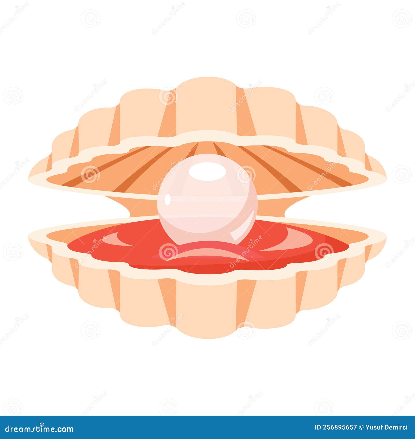 Plano de una almeja ilustración del vector. Ilustración de perla ...