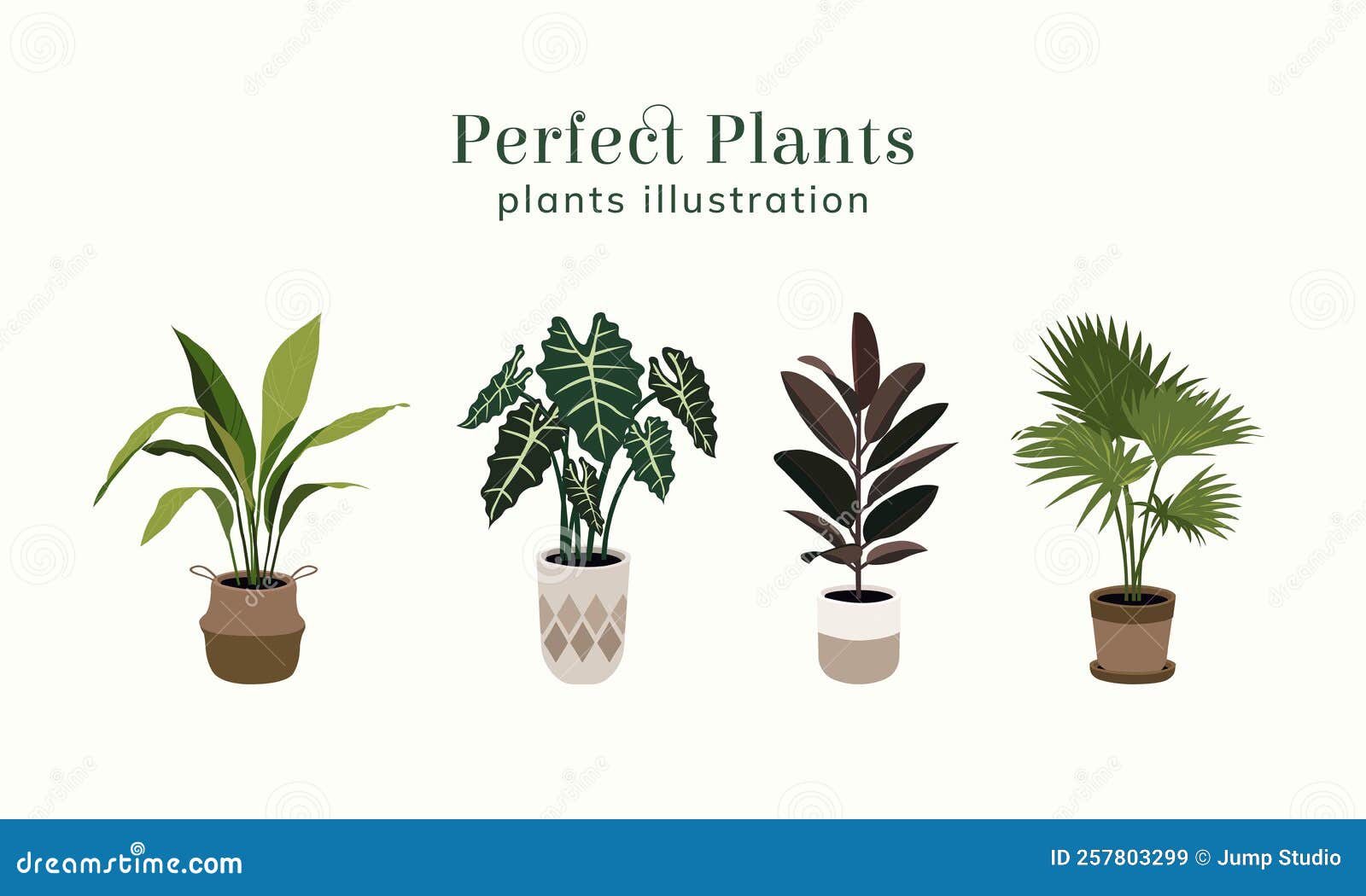 Perfect Plant Vector Illustration in Flat Unique Design Stock Vector ...