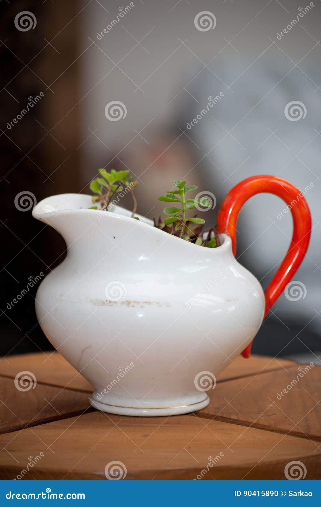 Plant in antique jug stock photo. Image of antique, plant - 90415890