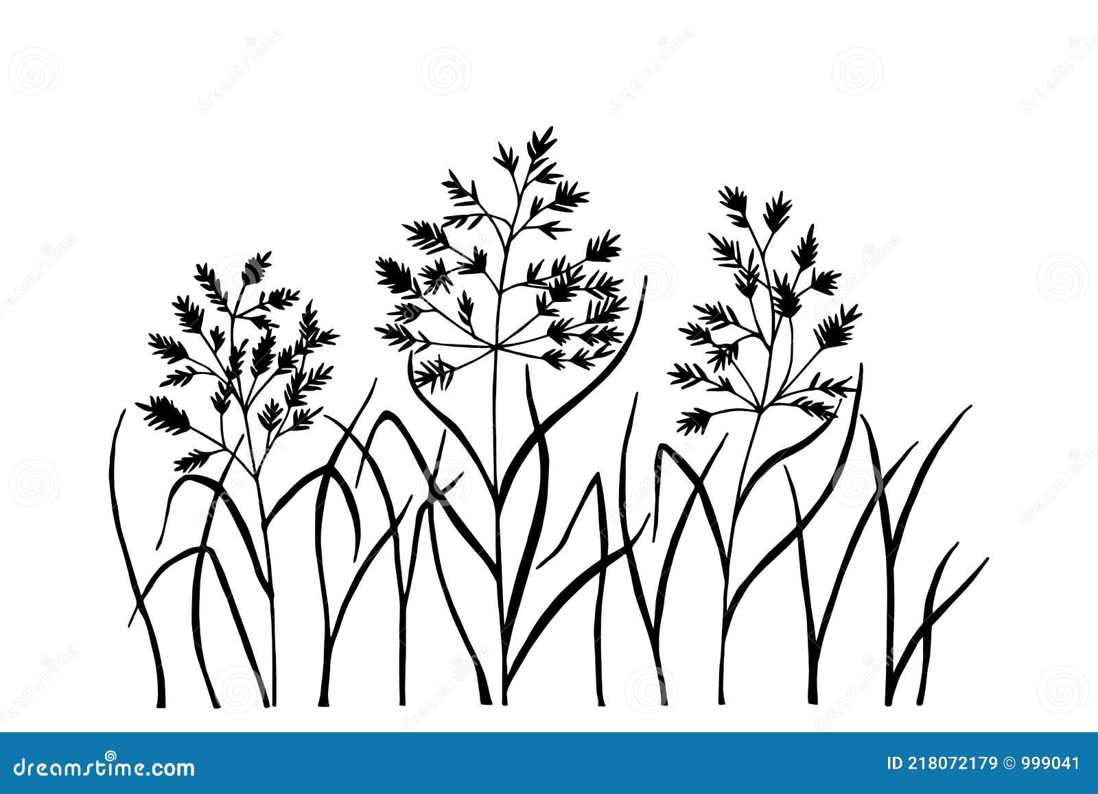 Plant Bluegrass Meadow. Vector Stock Illustration Eps10. Stock Vector ...