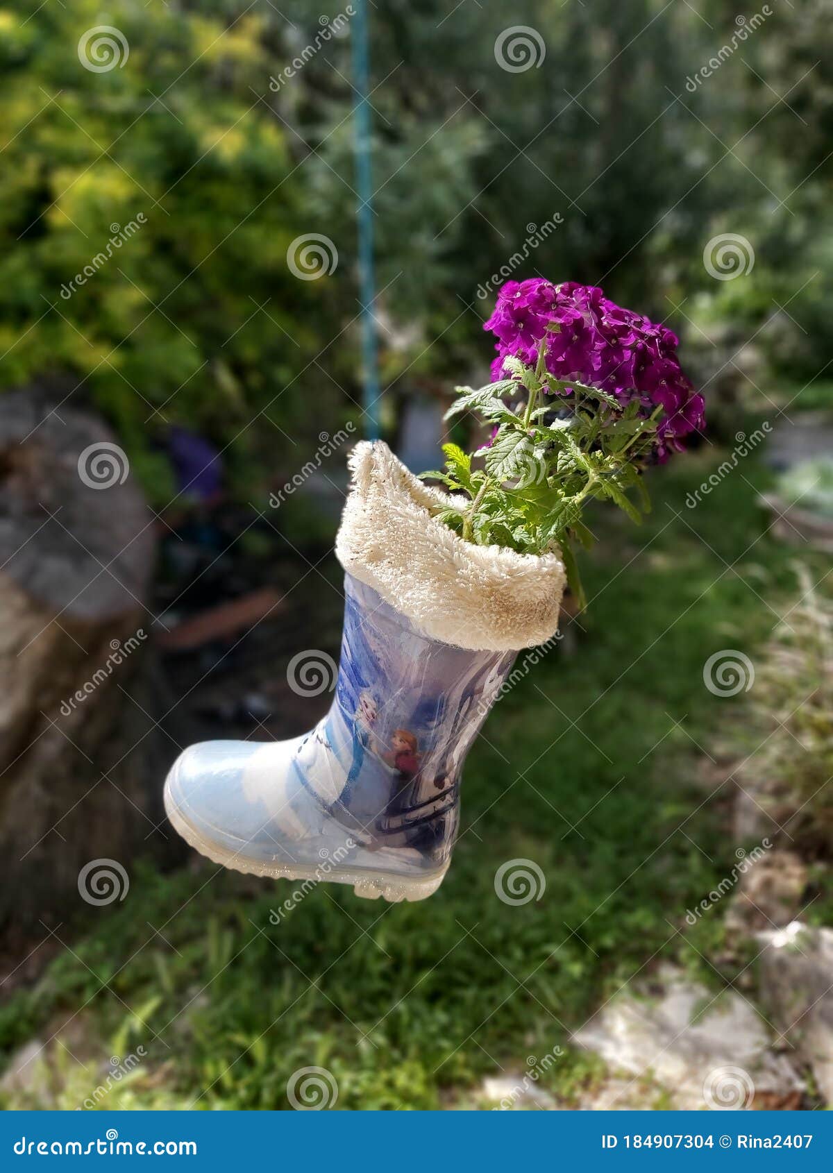 Boot plant stock photo. Image of nature, grass, flower - 184907304