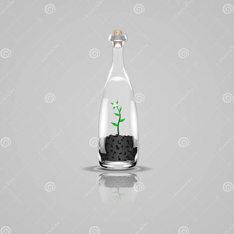Plant in a Bottle. Realistic Vector Illustration Stock Vector ...