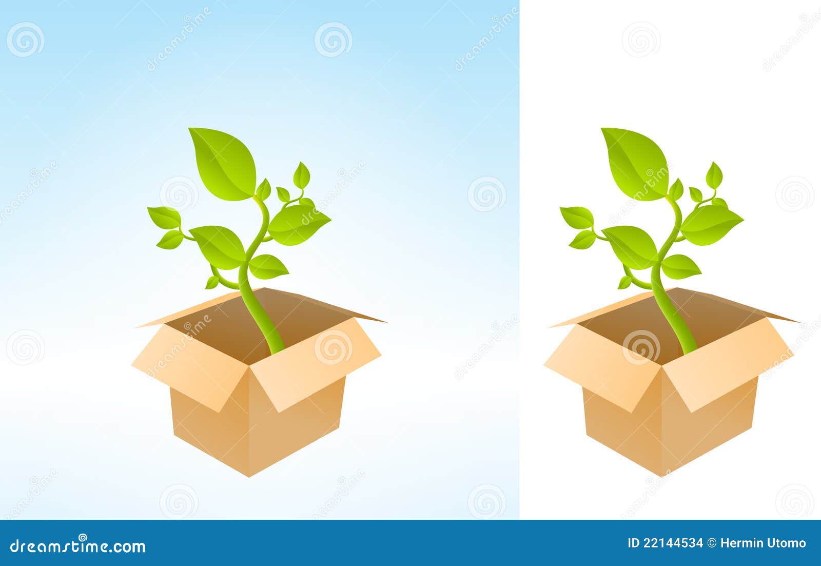 Plant Box stock vector. Illustration of plant, forestry - 22144534