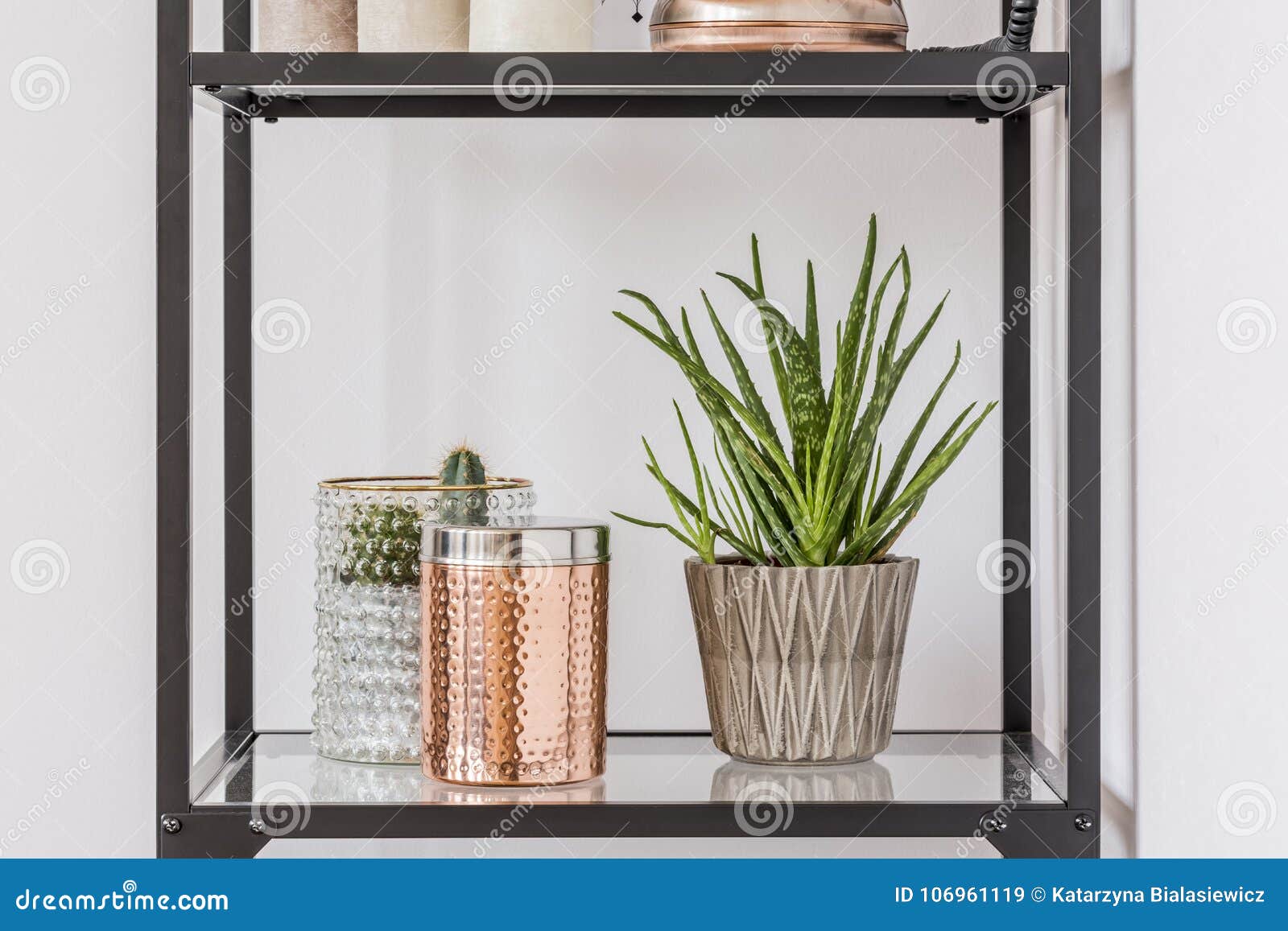 Plant and box on shelf stock image. Image of patterned - 106961119