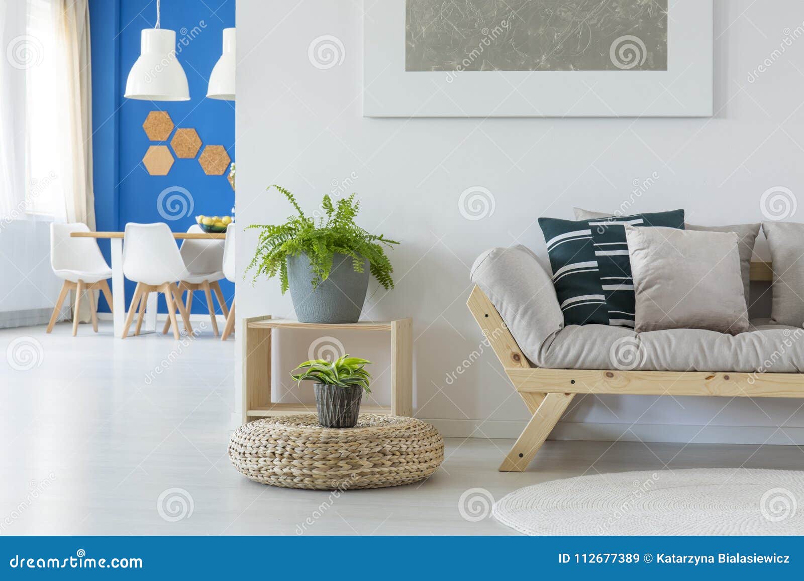 Plant in bright open space stock image. Image of fern - 112677389