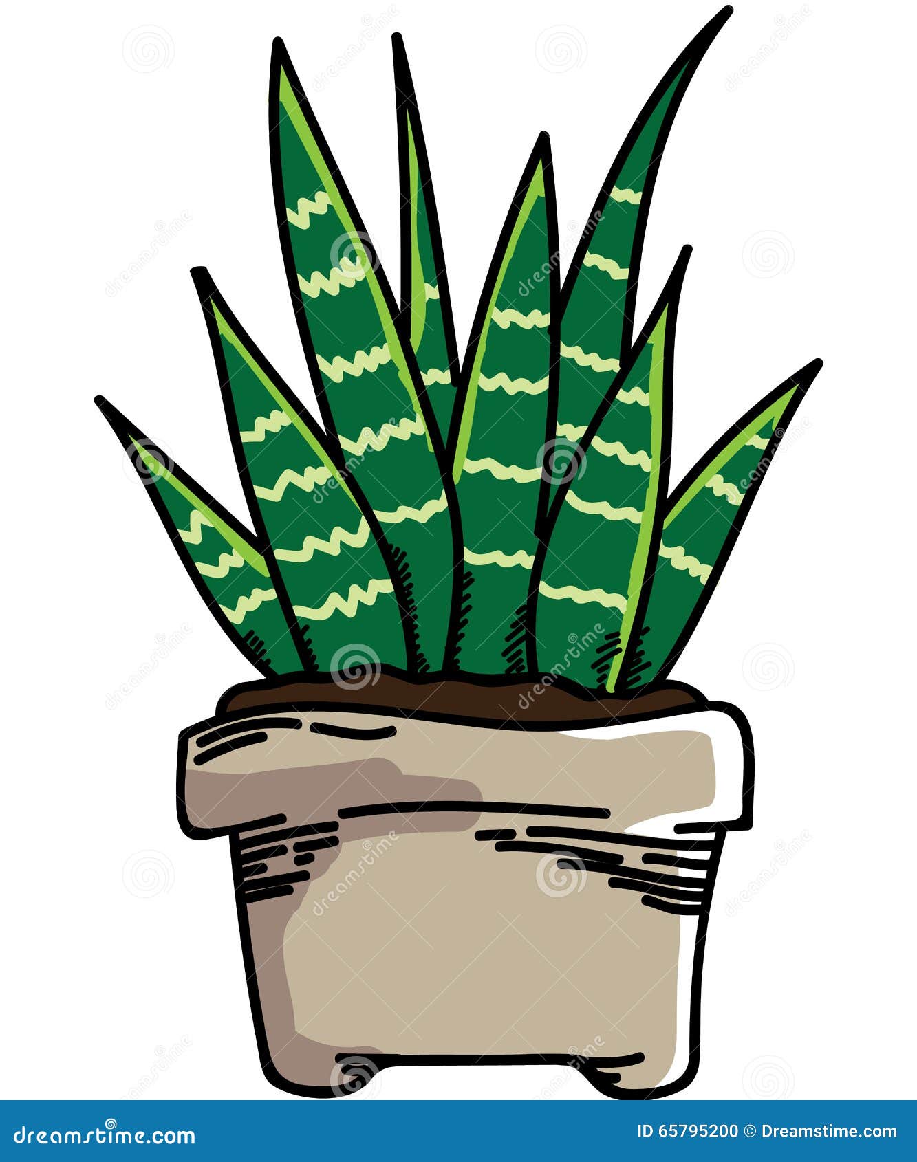 Plant stock illustration. Illustration of succulent, cartoon - 65795200