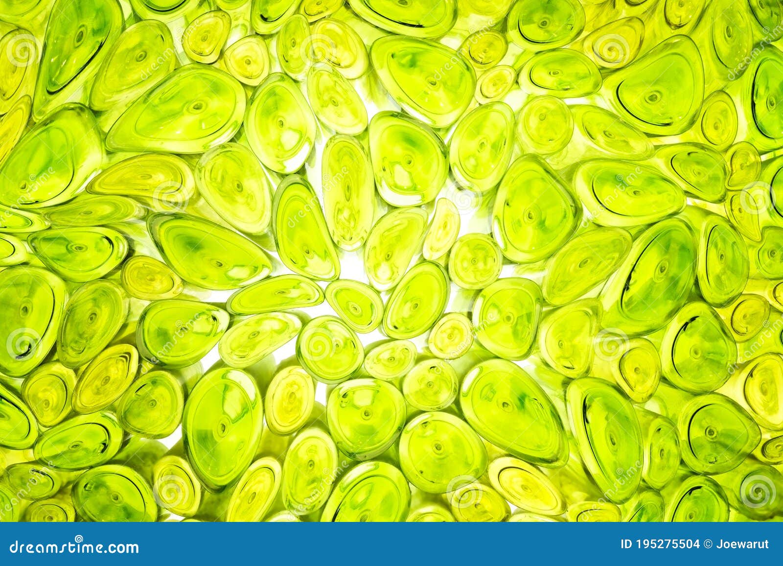 Plant cell stock photo. Image of magnification, organic - 195275504