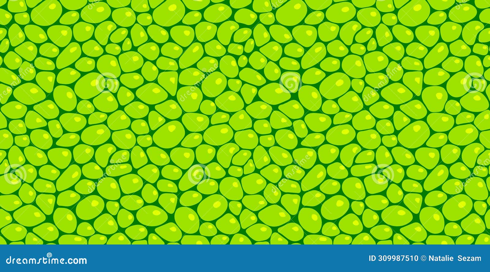 Plant Cells Template Background Vector Illustration. Leaf Structure ...