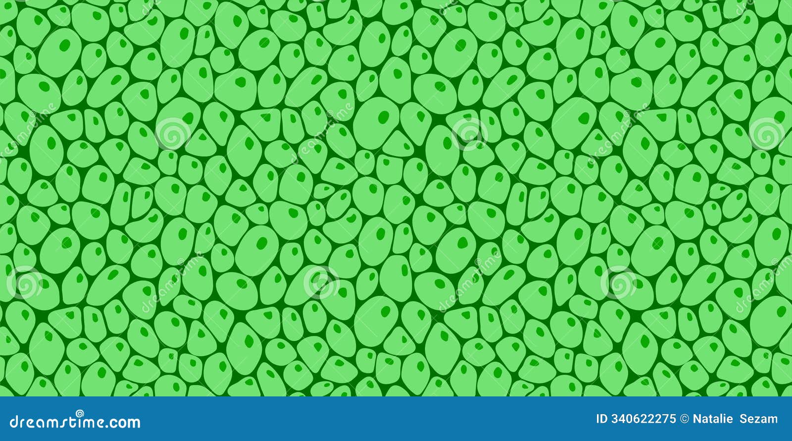 Plant Cells Template Background Vector Illustration. Leaf Structure ...