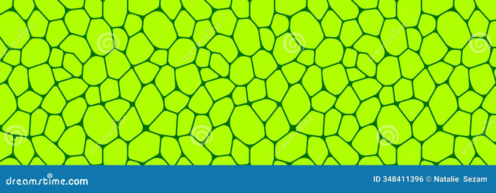 Plant Cells Template Banner Vector Illustration. Leaf Structure Close ...