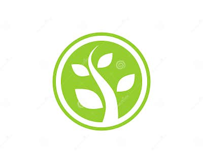 Plant Circle Logo Icon Template Stock Vector - Illustration of green ...