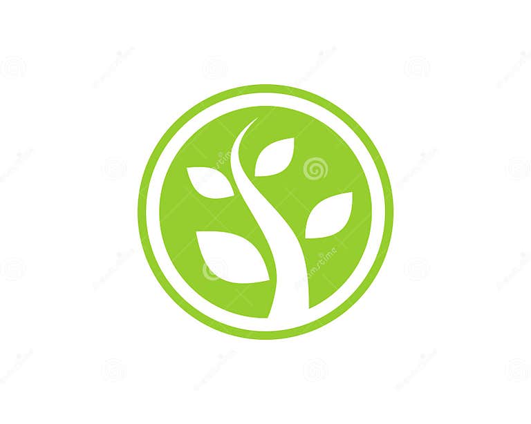 Plant Circle Logo Icon Template Stock Vector - Illustration of green ...