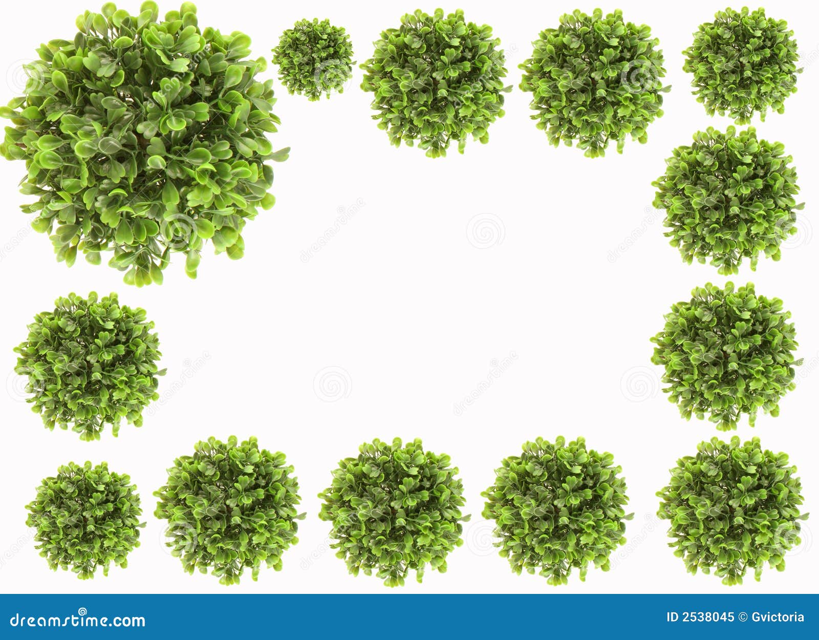 Plant cluster border stock image. Image of frame, plants - 2538045