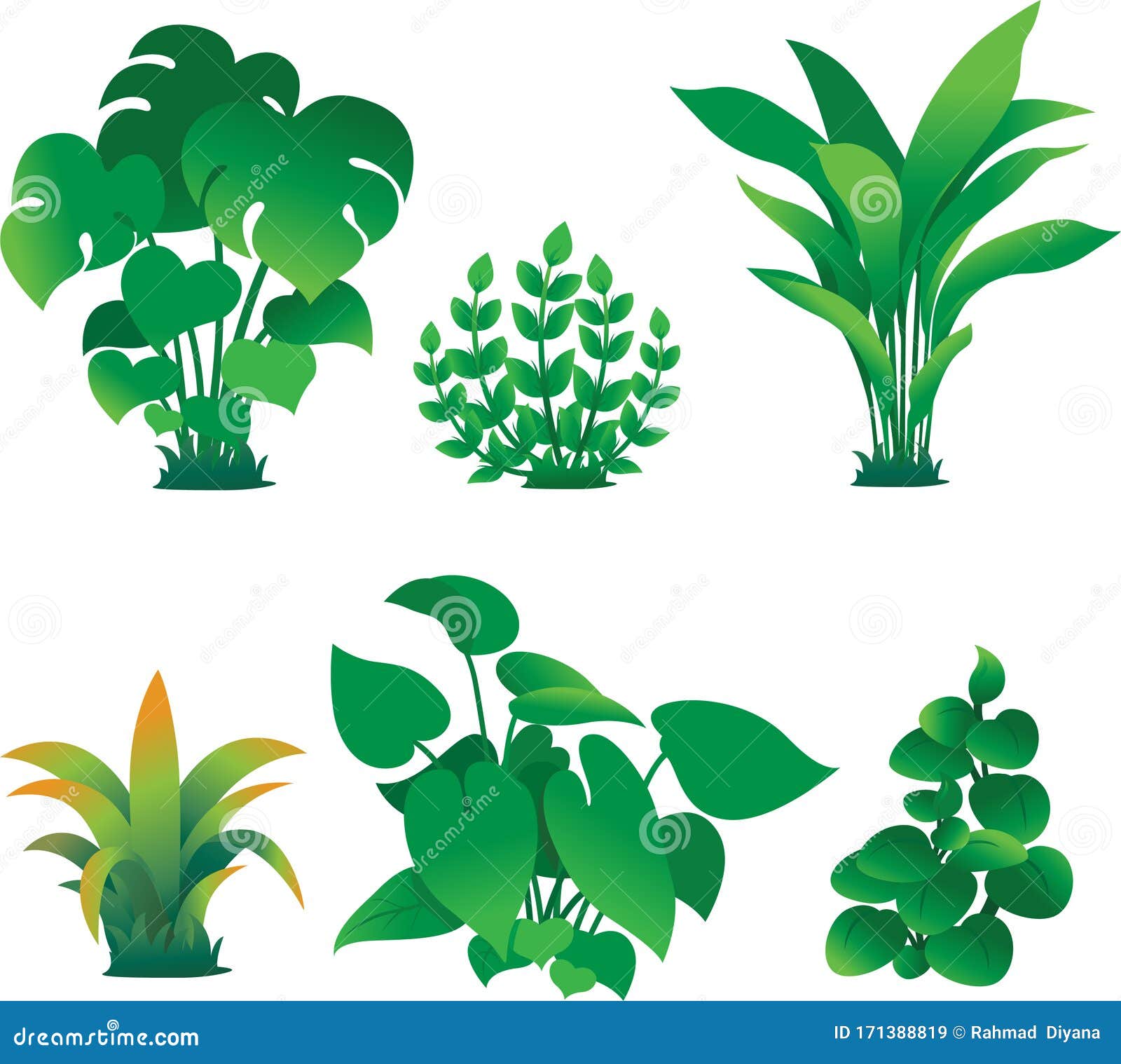 Plant Illustrator Set Vector Stock Vector - Illustration of beauty ...