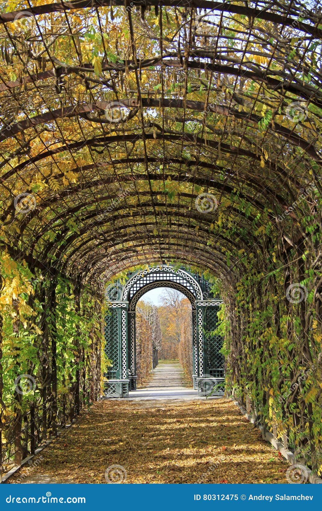 The Plant Corridor in Park of Vienna Stock Image - Image of covered ...