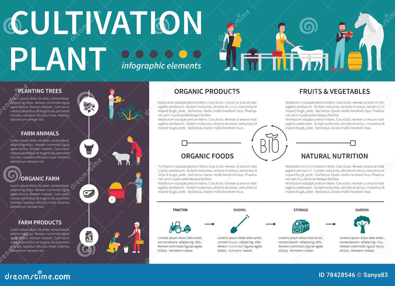 Plant Cultivation Infographic Flat Vector Illustration. Presentation ...