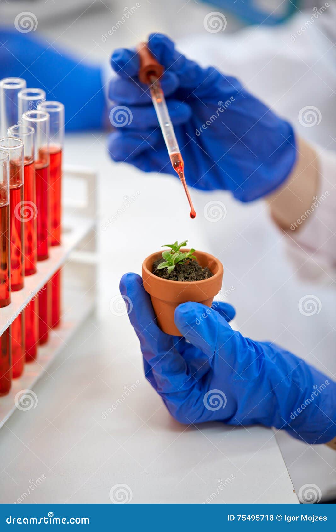 Plant dna change stock photo. Image of genetically, medicine - 75495718